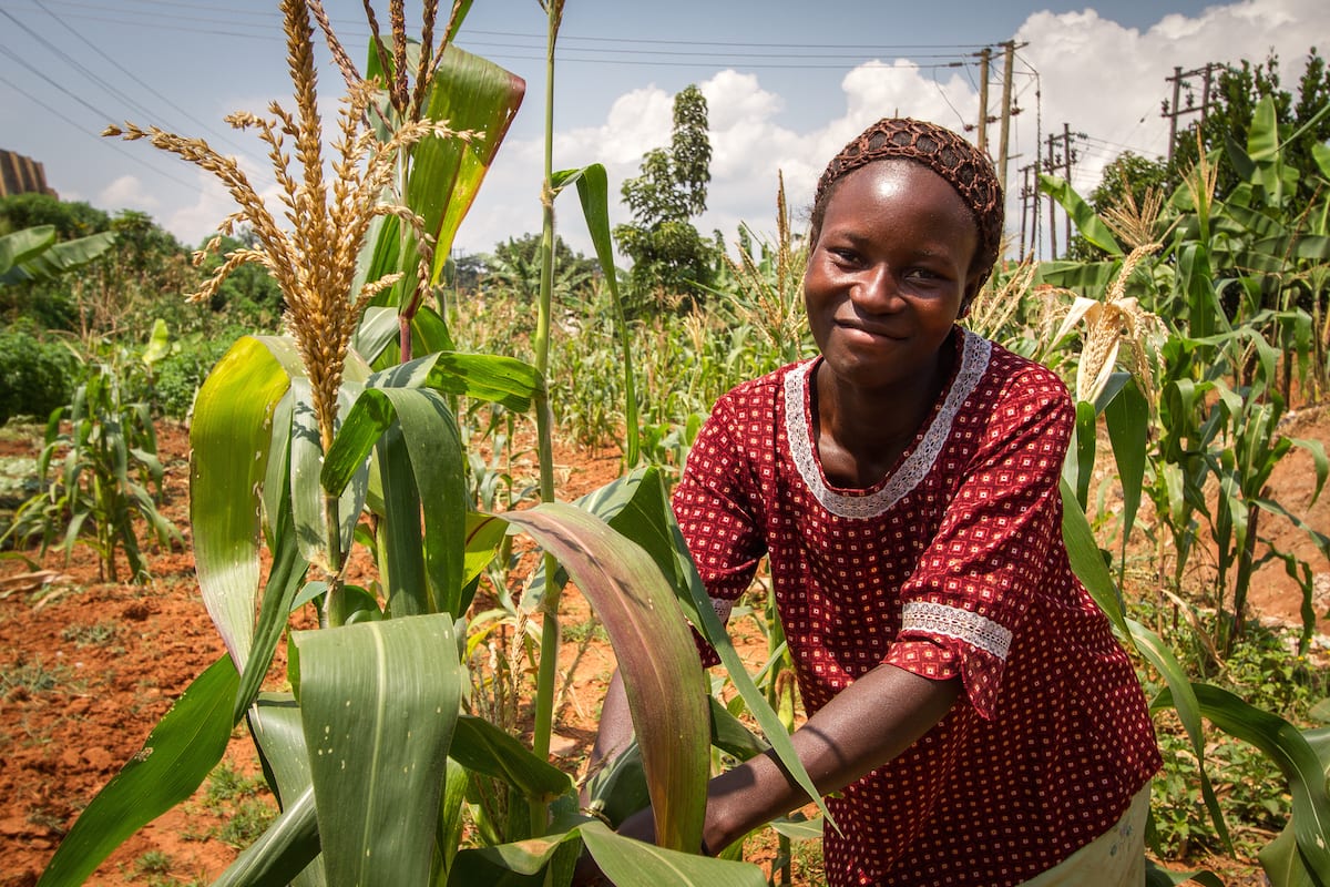 Bring Clean Close Water to the Water Starved - RaHa Solutions