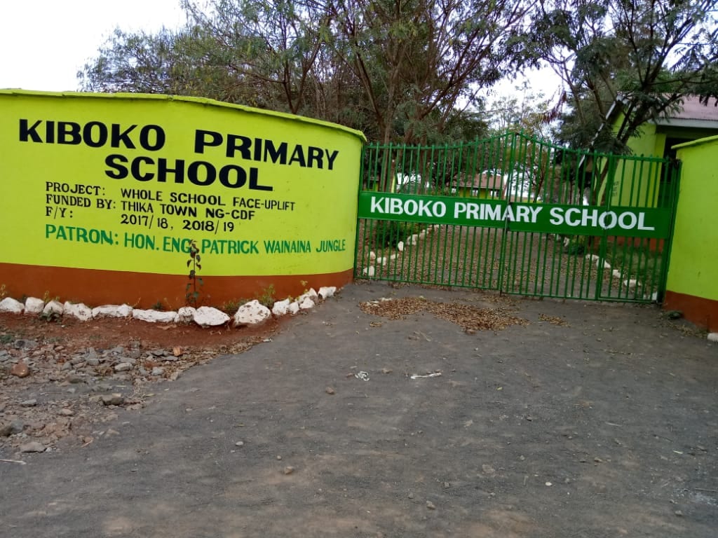 STORYBOOKS FOR KIBOKO PRIMARY SCHOOL - RaHa Solutions